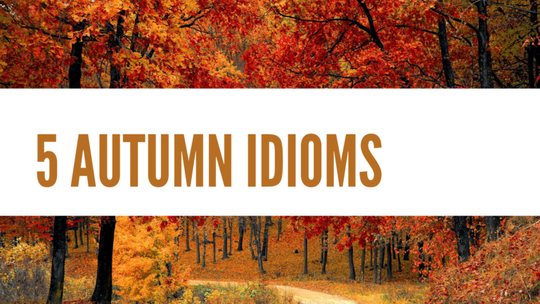 5 Autumn Idioms - Free Your English